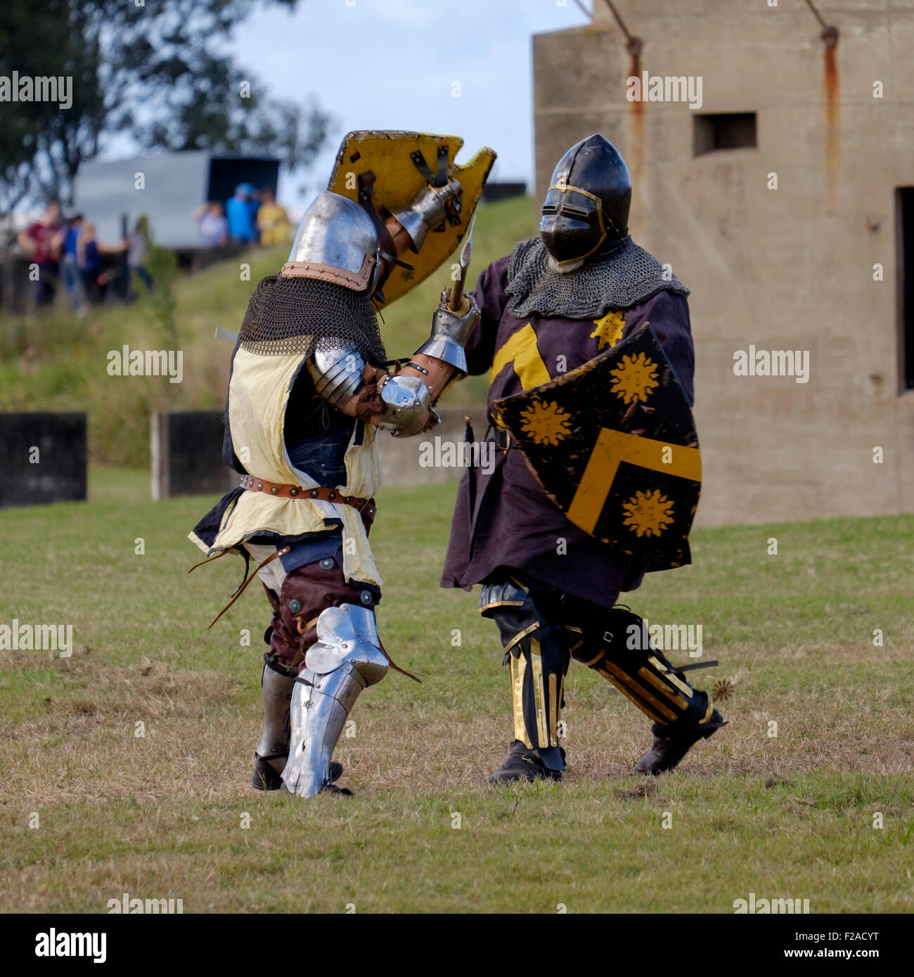 History Alive 2015 Stock Photo - Alamy