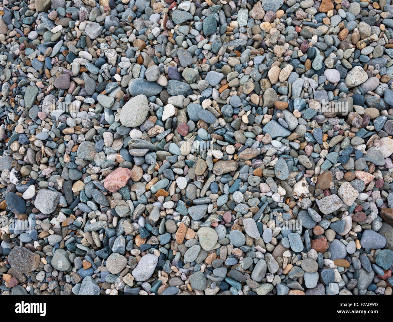 Mixed pebbles on a beach, UK Stock Photo - Alamy