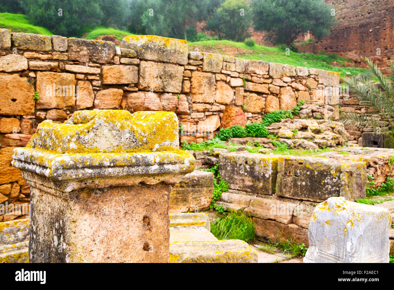 chellah in morocco africa the old roman deteriorated monument and site ...