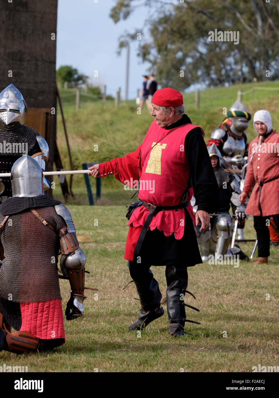 History Alive 2015 Stock Photo - Alamy