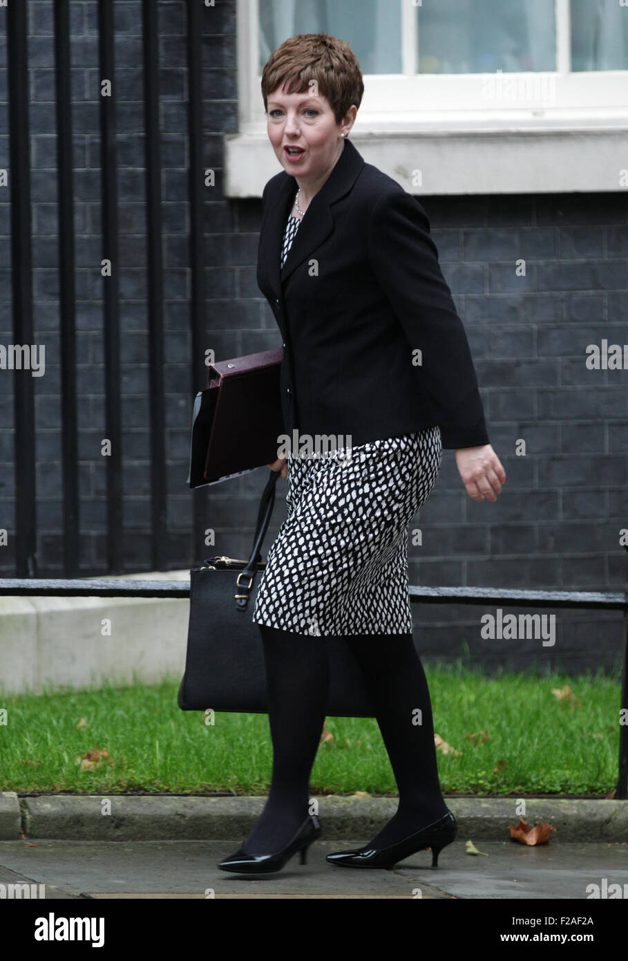 Tina stowell seen at downing street in london hi-res stock photography ...