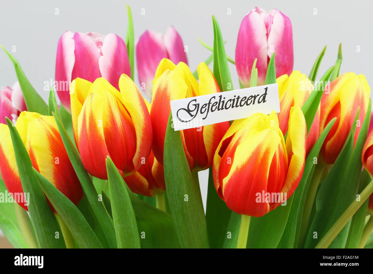 Gefeliciteerd, which means congratulations in Dutch, with colorful ...