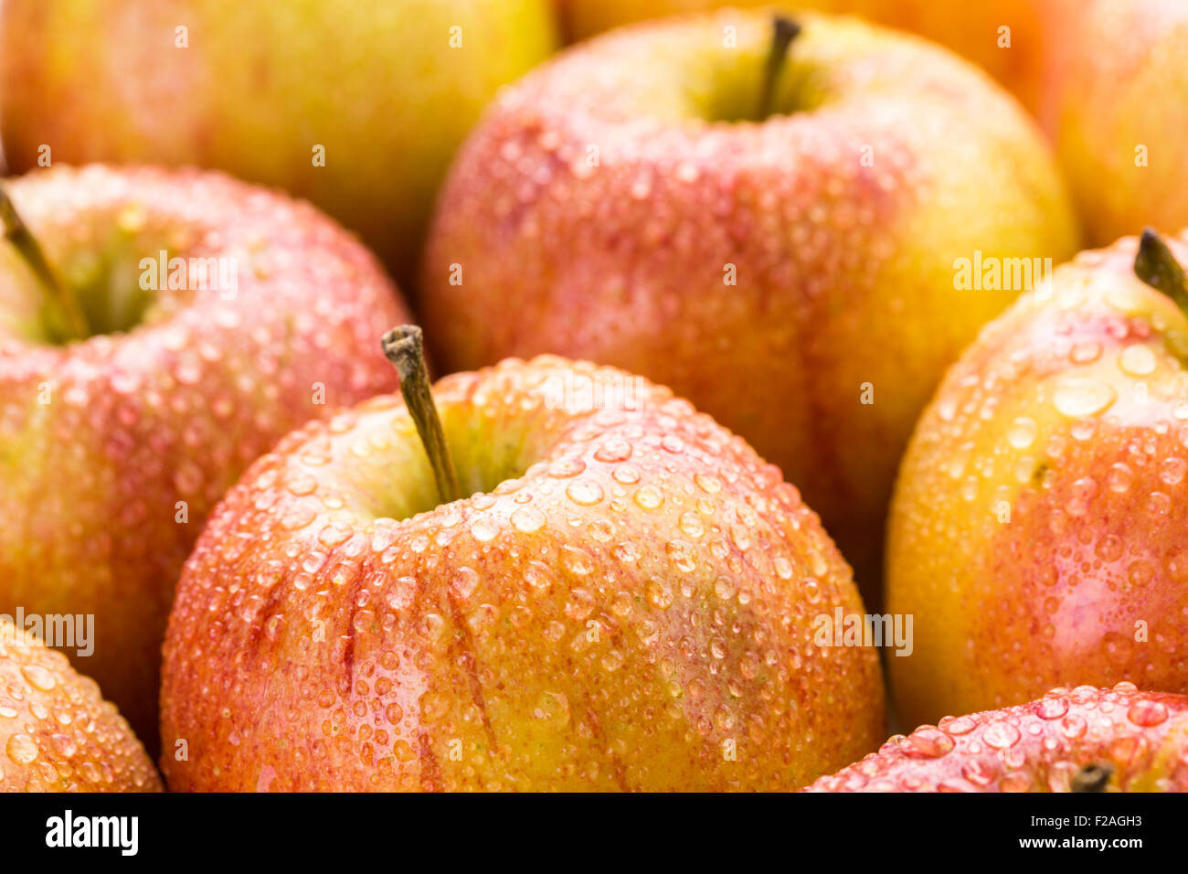Red large apples gala variety hi-res stock photography and images - Alamy