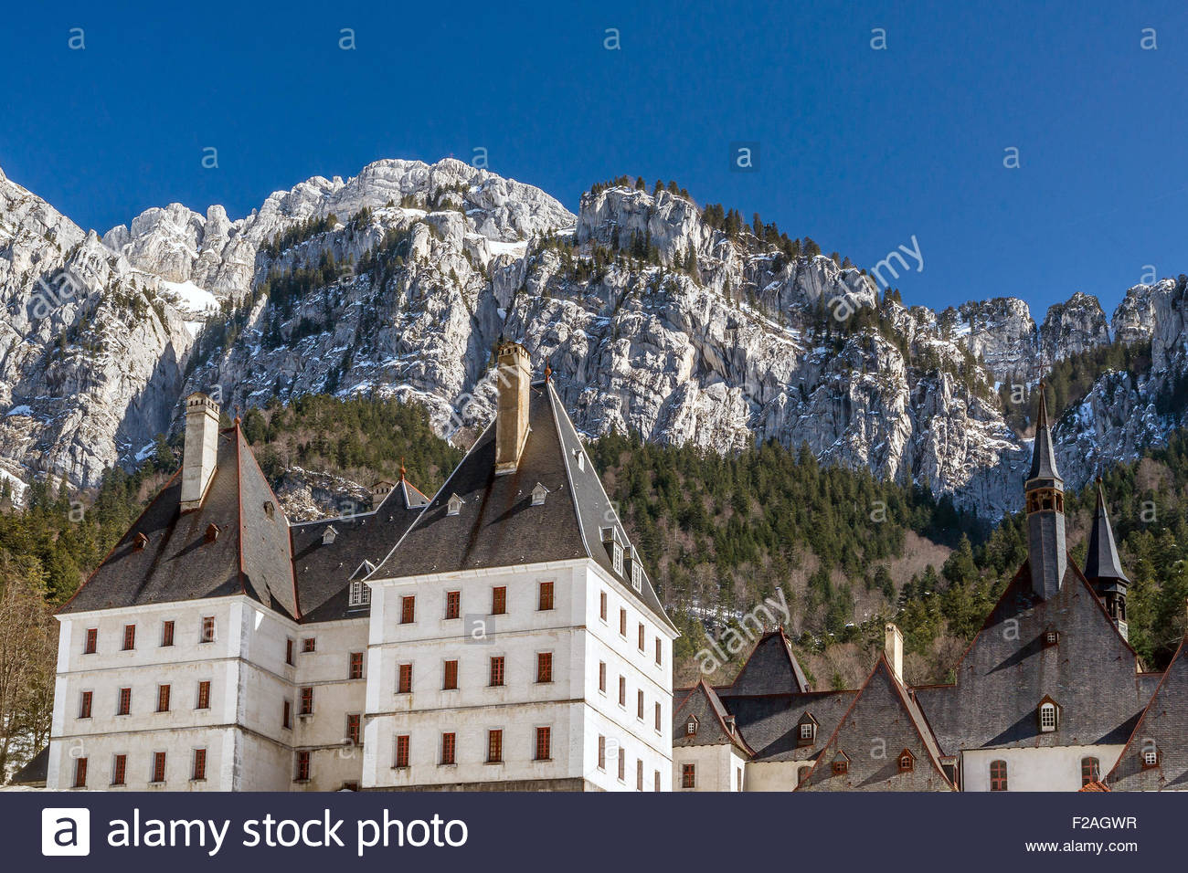 Carthusian Saint High Resolution Stock Photography and Images - Alamy