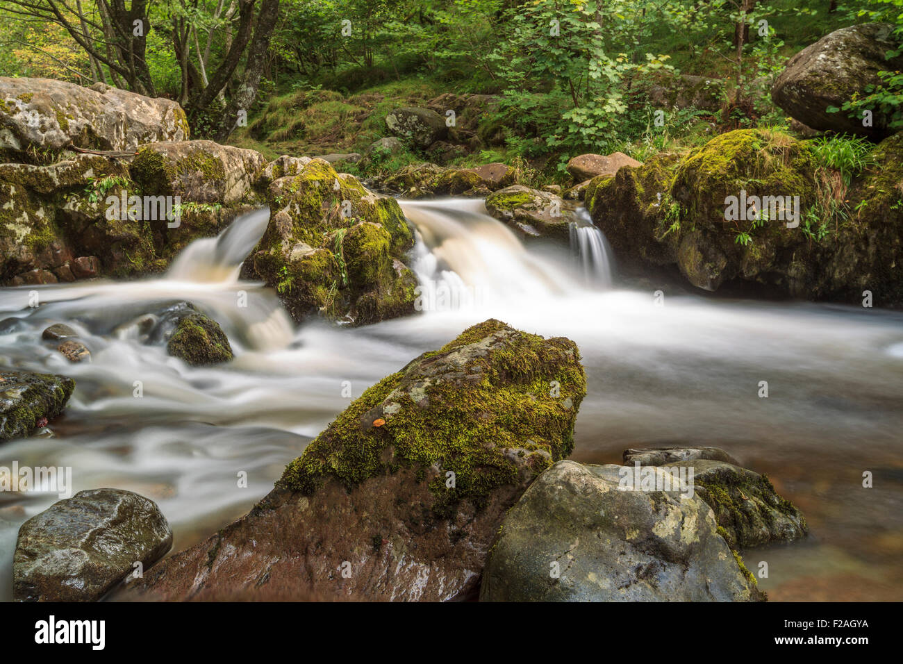 Stream water and rocks hi-res stock photography and images - Alamy