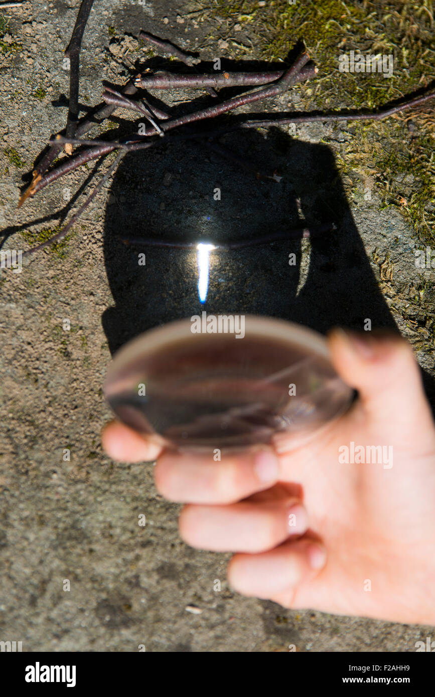 Boy Starting a Fire with a Magnifying Glass Stock Photo - Alamy