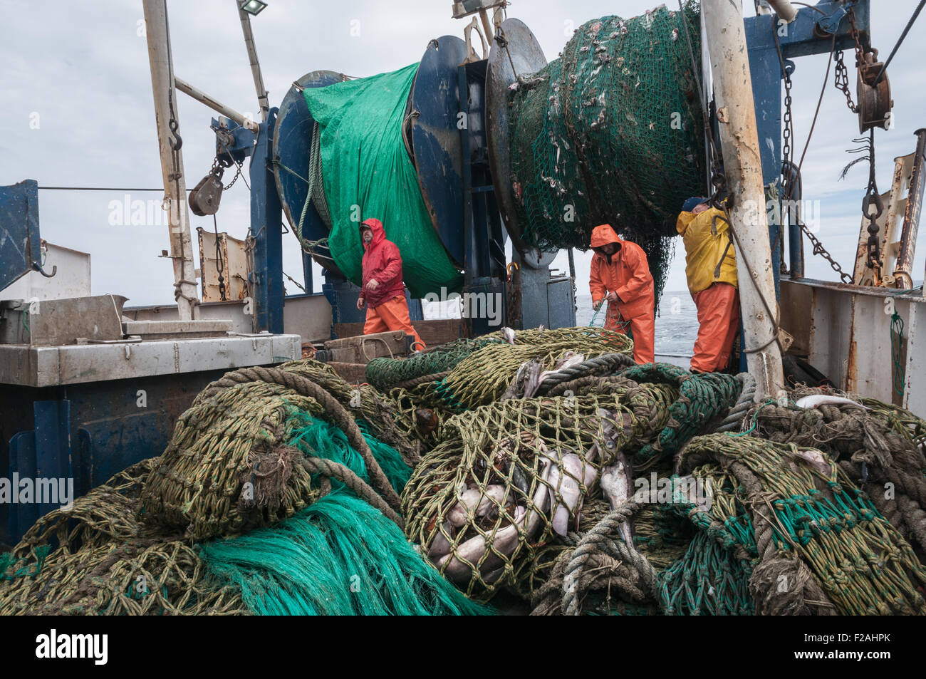 Mending dragger net of offshore fishing trawler. Georges Bank, New ...
