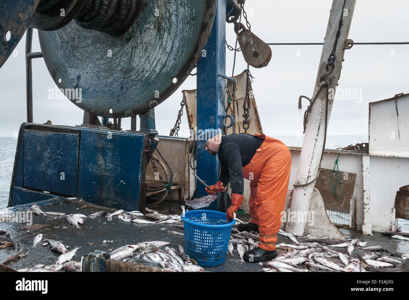 Bottom trawler catch hi-res stock photography and images - Alamy