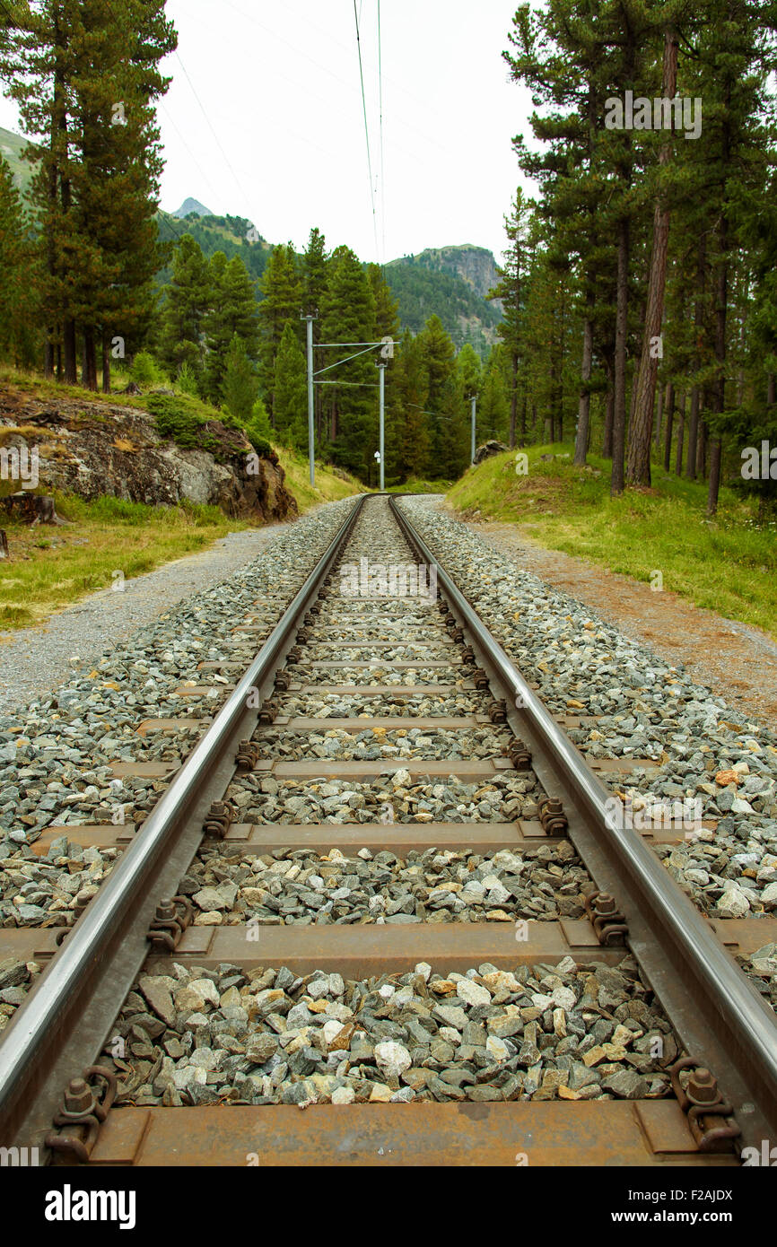 Railroad track in forest curve hi-res stock photography and images - Alamy