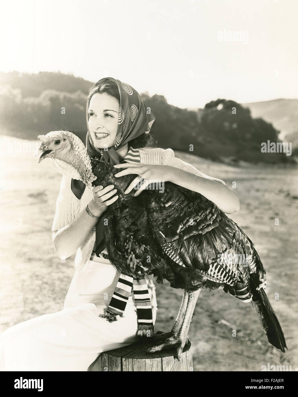 Prize animals hi-res stock photography and images - Alamy