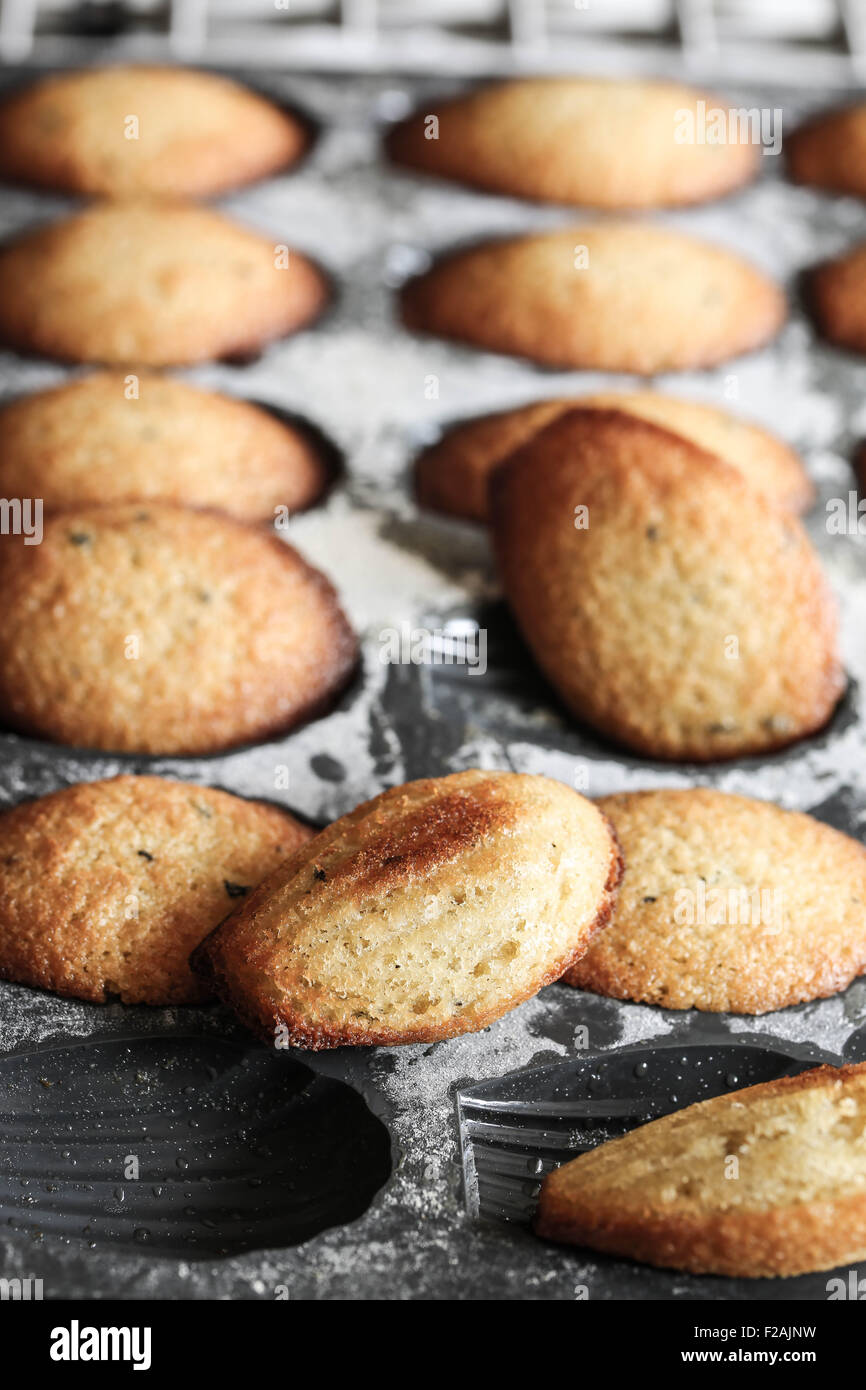 Madeleines into a floured mould Stock Photo - Alamy