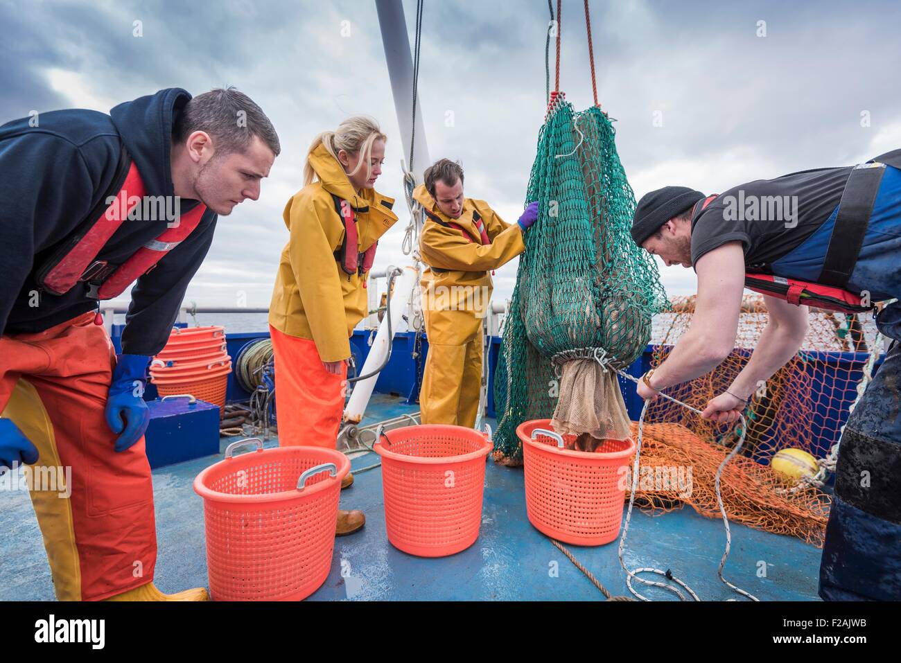 Bring in net hi-res stock photography and images - Alamy