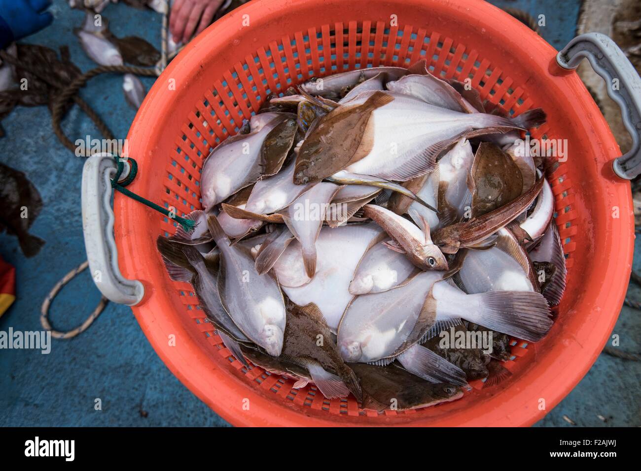 Catch deck hi-res stock photography and images - Alamy