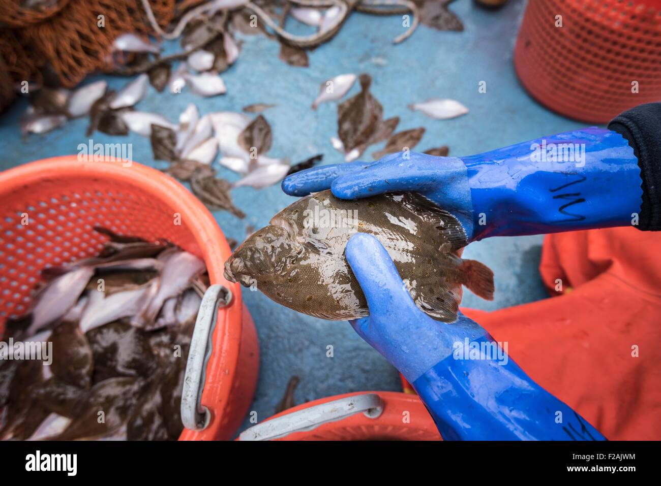 Catch fish hi-res stock photography and images - Alamy