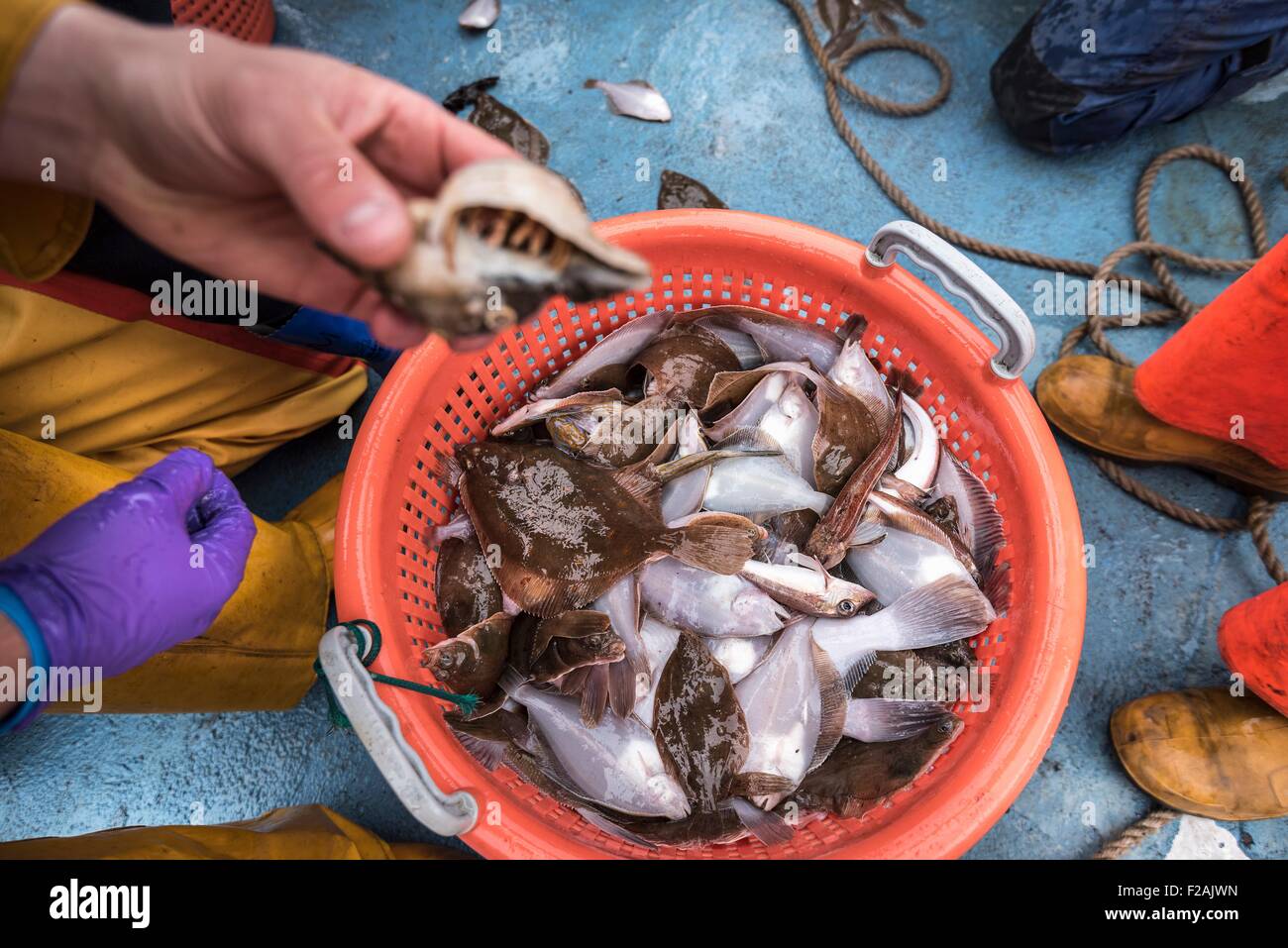 Catch fish hi-res stock photography and images - Alamy
