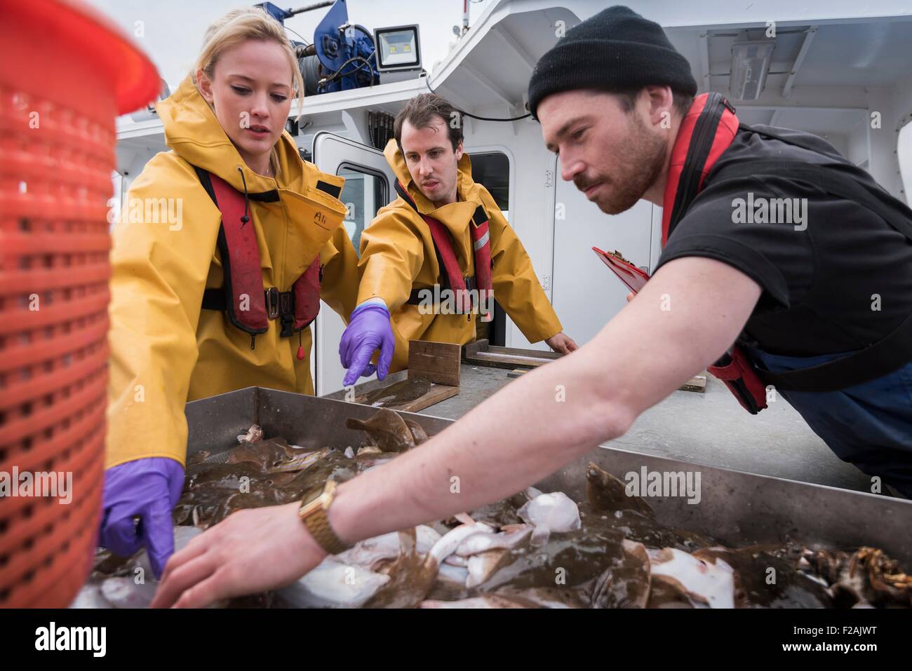 Measuring nature hi-res stock photography and images - Alamy