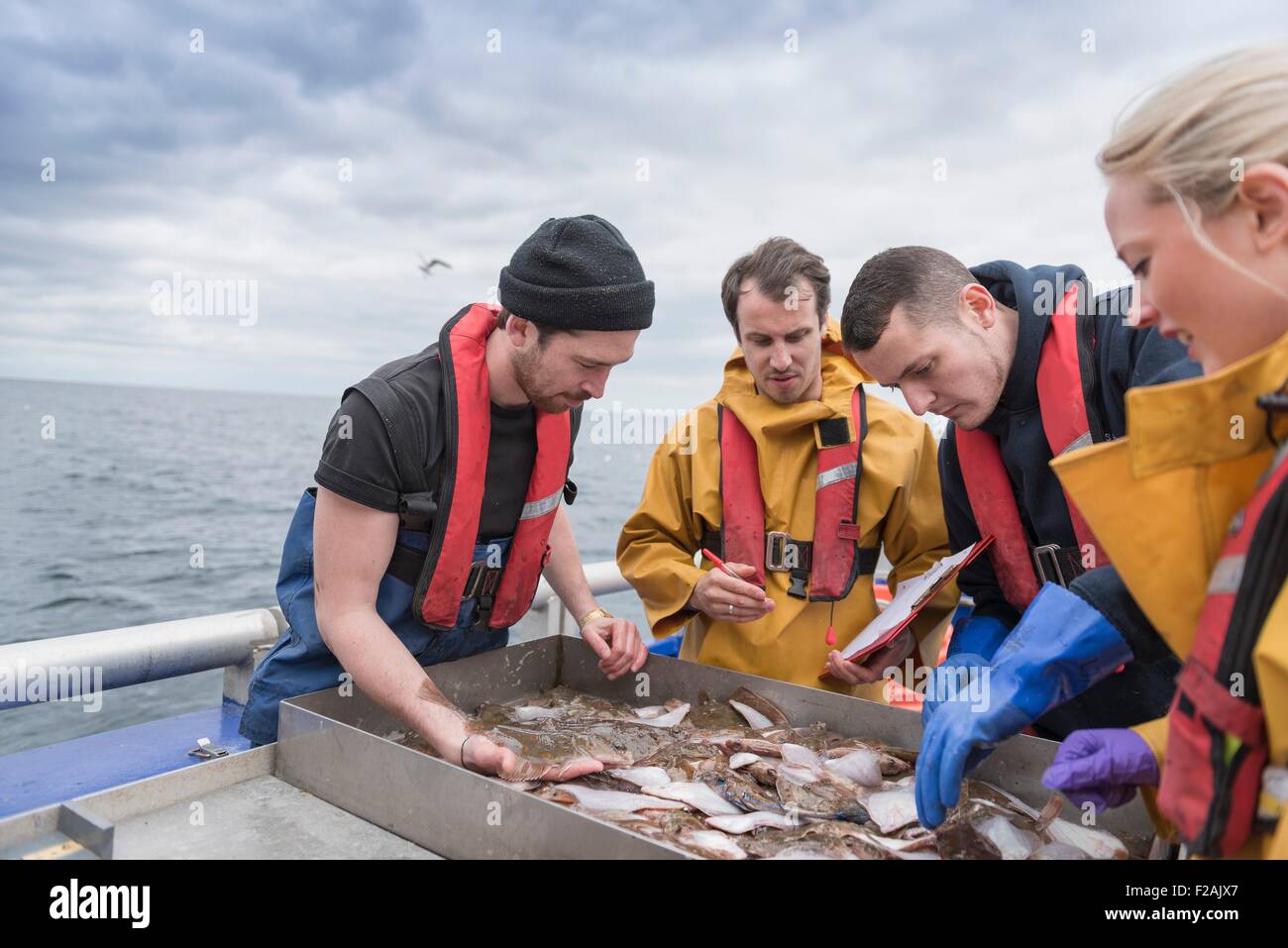 Research scientists hi-res stock photography and images - Alamy