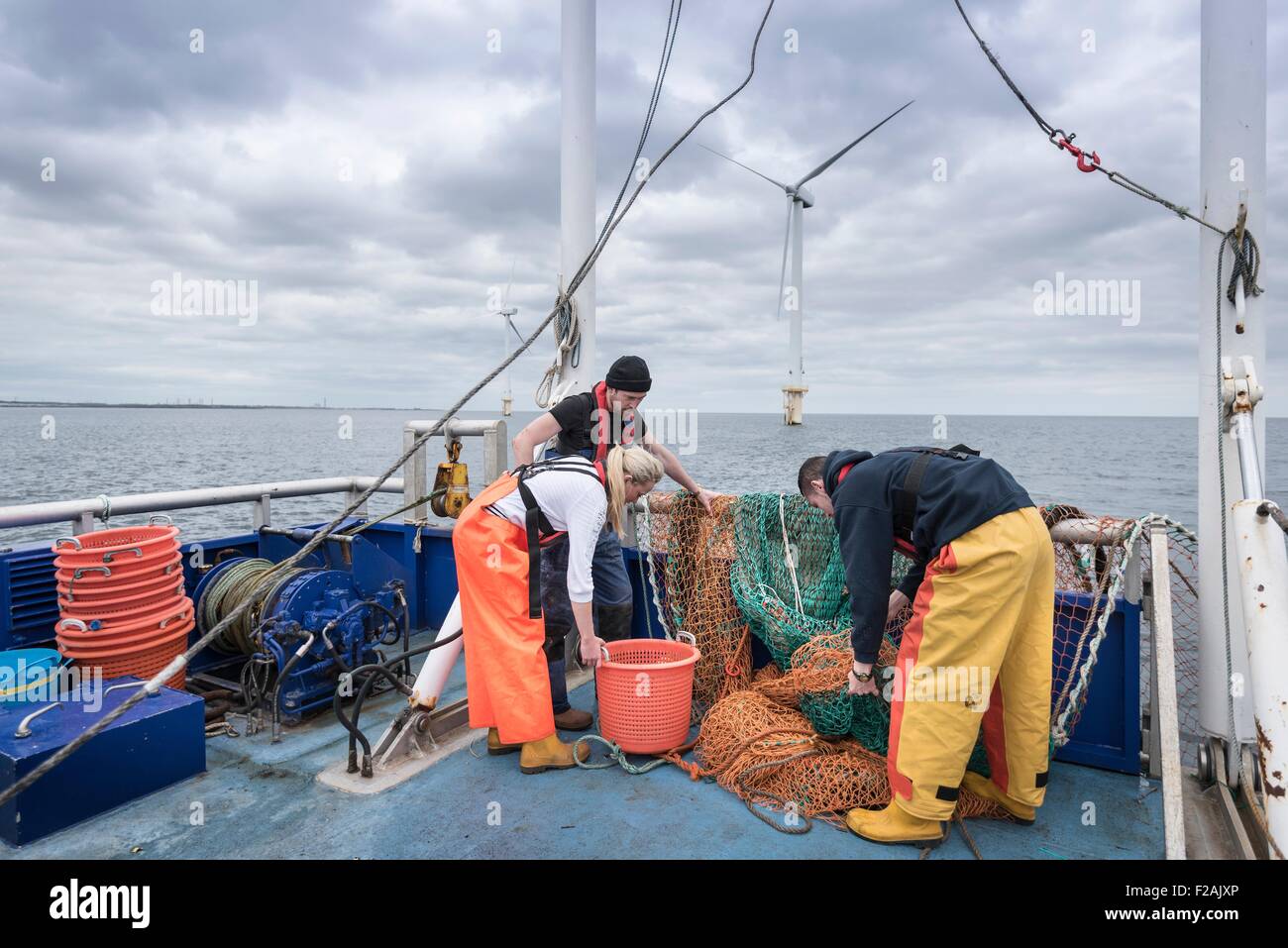 Teamwork catch concentration hi-res stock photography and images - Alamy