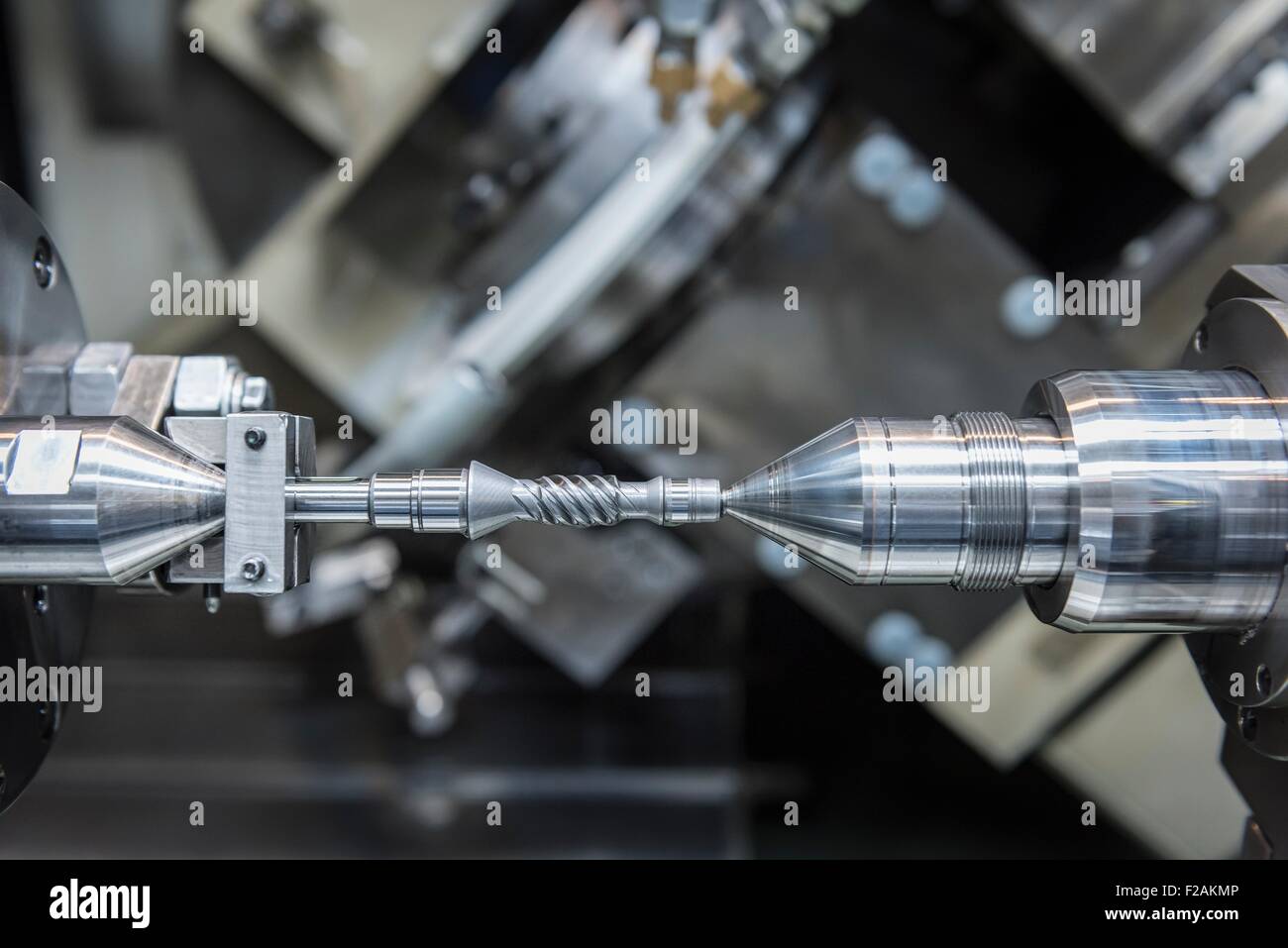 Network worm hi-res stock photography and images - Alamy