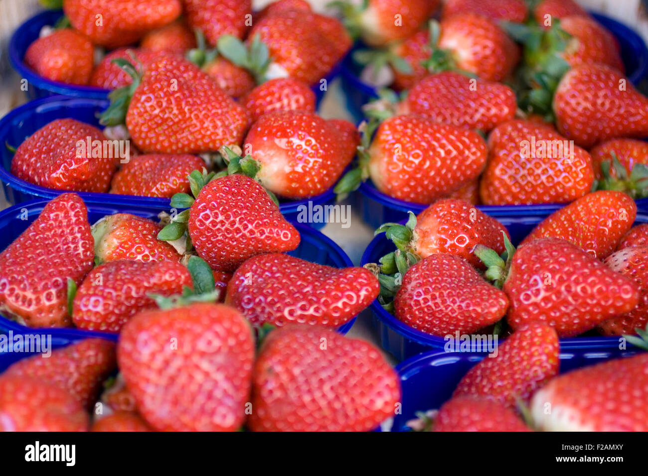 Fresh strawberry inside a plastic basket Stock Photo - Alamy