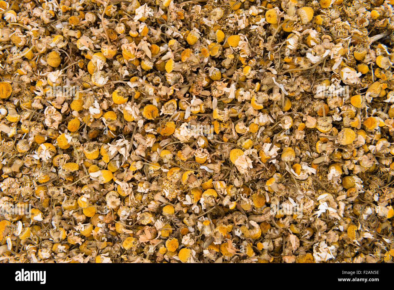 Dried Camomile (close-up shot) for use as background image or as ...