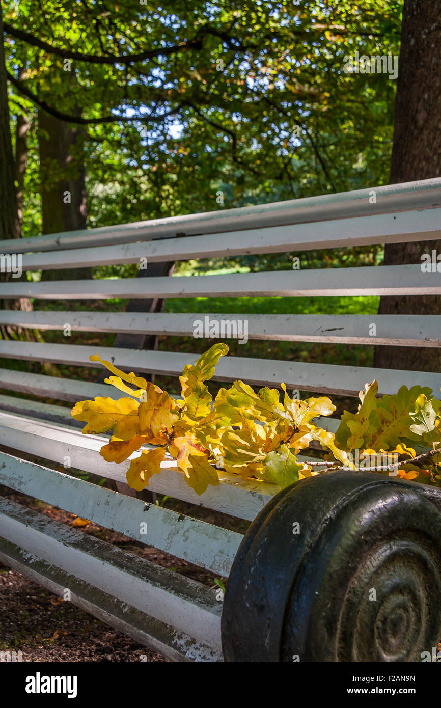Golden Autumn Leaves On The Bench Stock Photo - Alamy