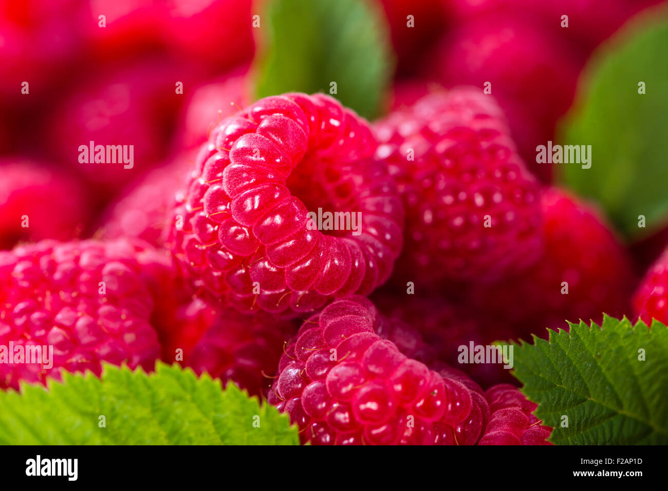 Raspberries as detailed close-up shot food background image Stock Photo ...