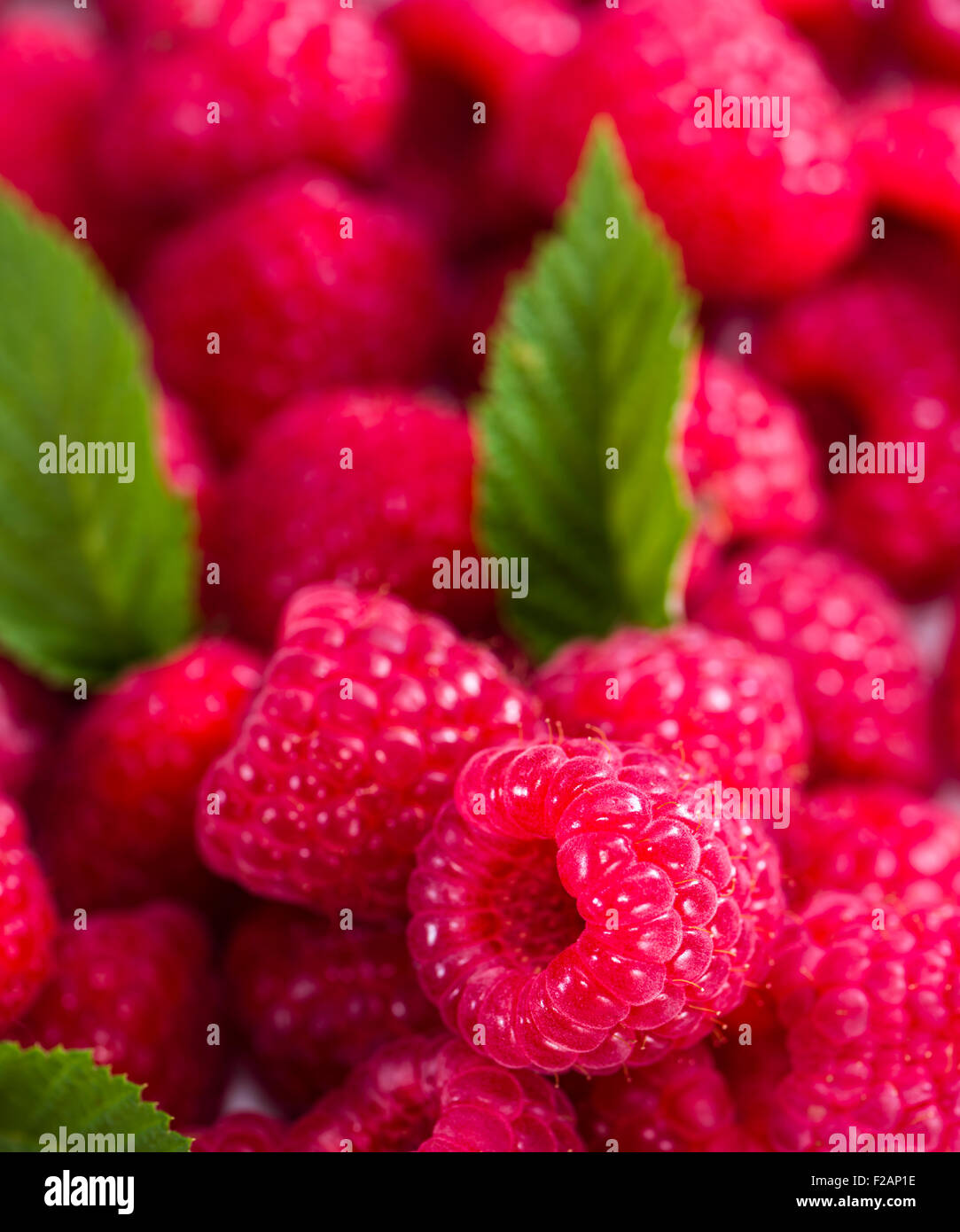 Raspberries as detailed close-up shot food background image Stock Photo ...
