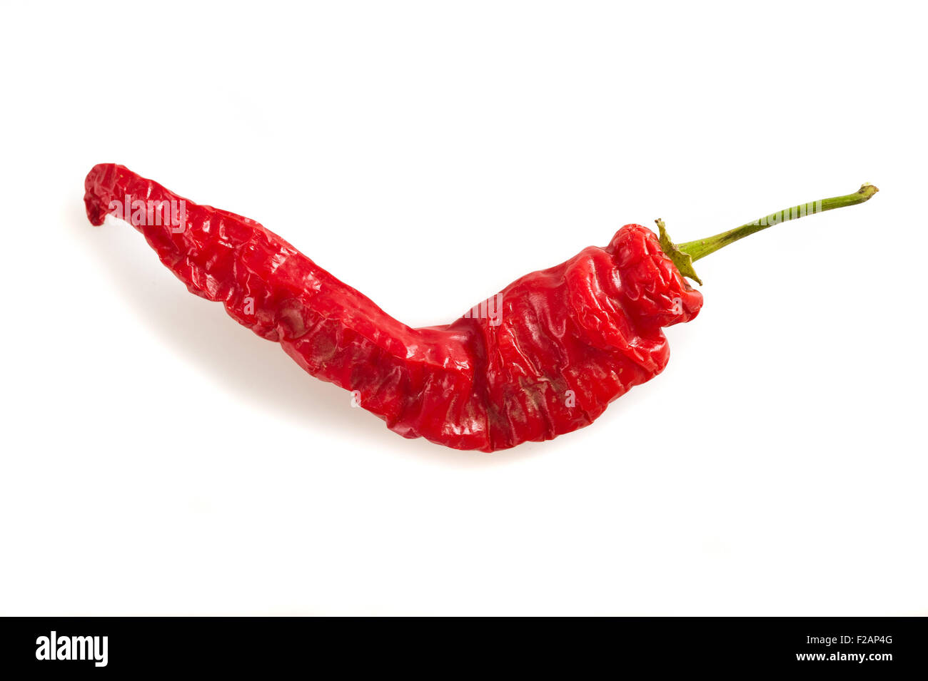 Hot chili Cut Out Stock Images & Pictures - Alamy