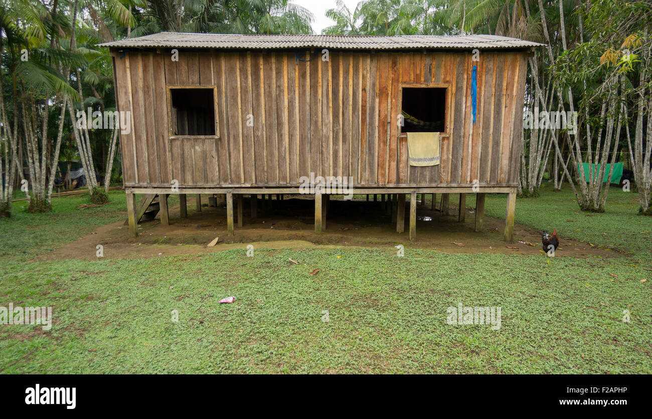 Woode houses built on high stilts, Amazon rainforest Stock Photo - Alamy