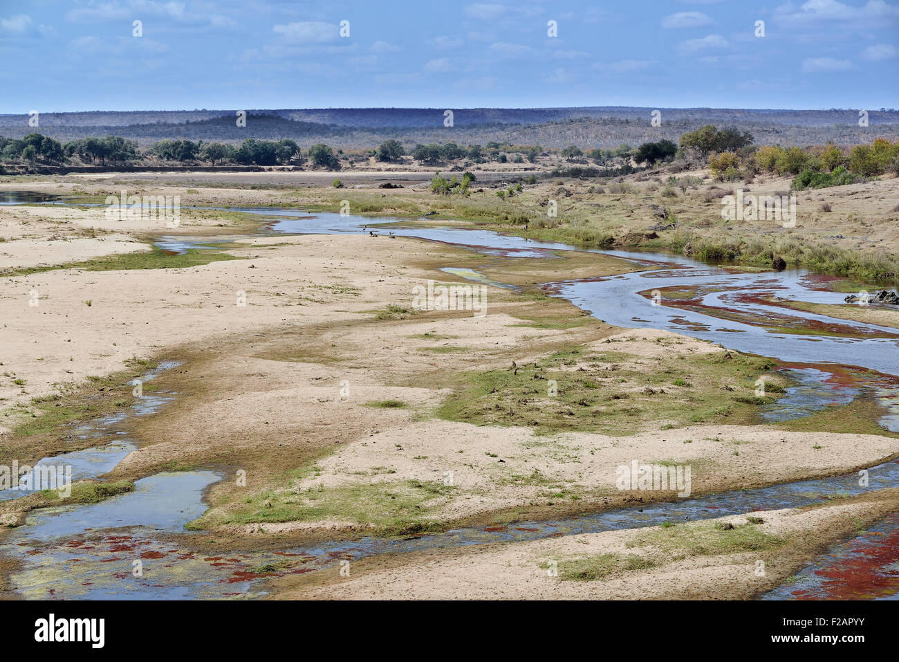 Letaba river hi-res stock photography and images - Alamy