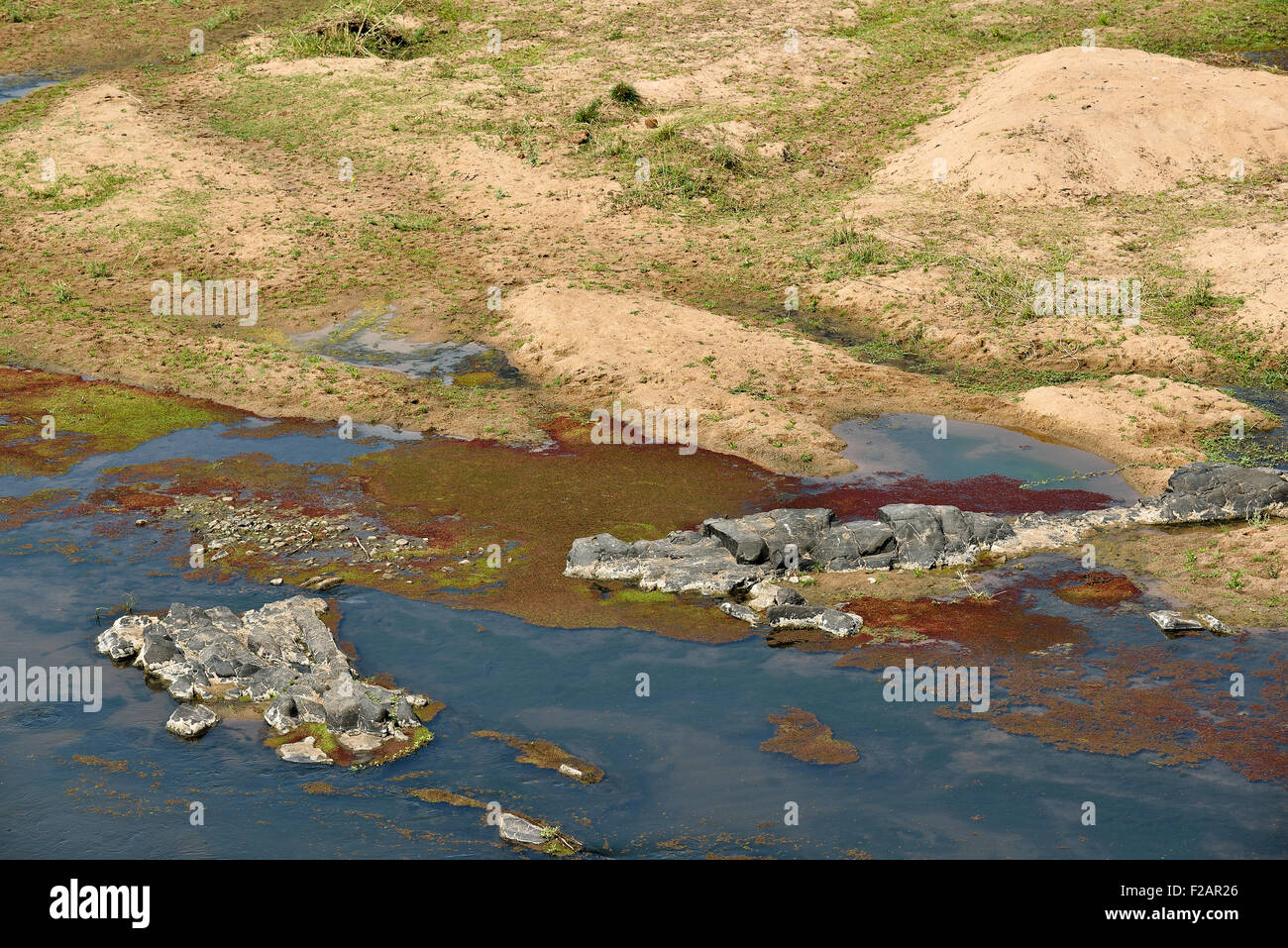 South Africa, Kruger district, the Letaba river Stock Photo - Alamy