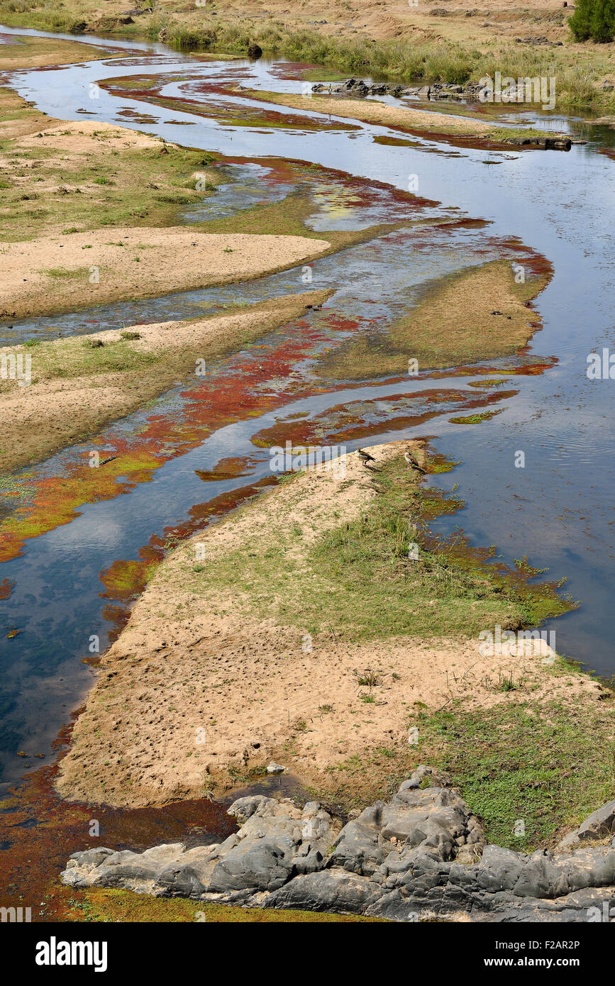 Letaba river hi-res stock photography and images - Alamy