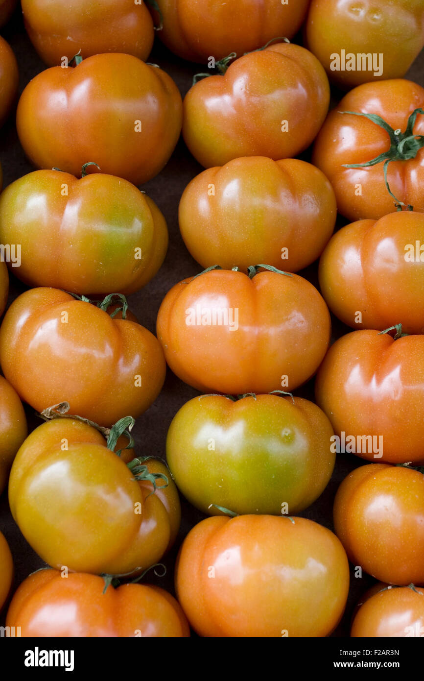 A lot of fresh tomatoes Stock Photo - Alamy