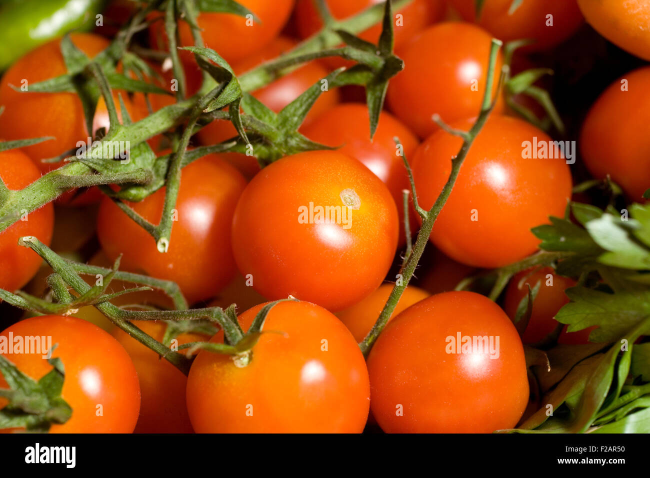 The little lot hi-res stock photography and images - Alamy