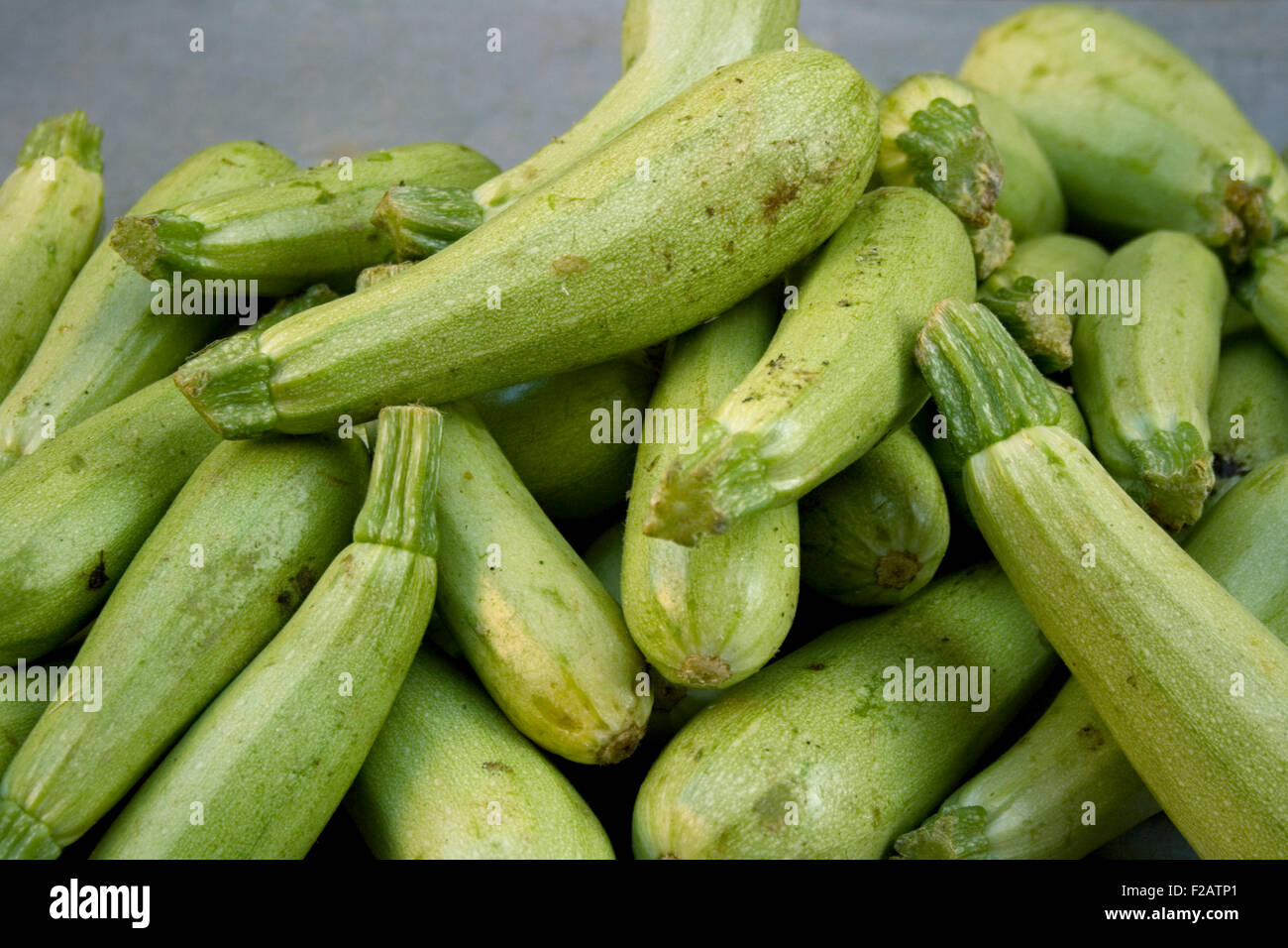 A lot of Fresh zucchini Stock Photo - Alamy