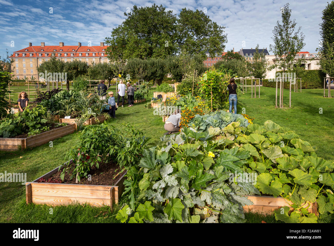 Community Garden Plots High Resolution Stock Photography and Images - Alamy
