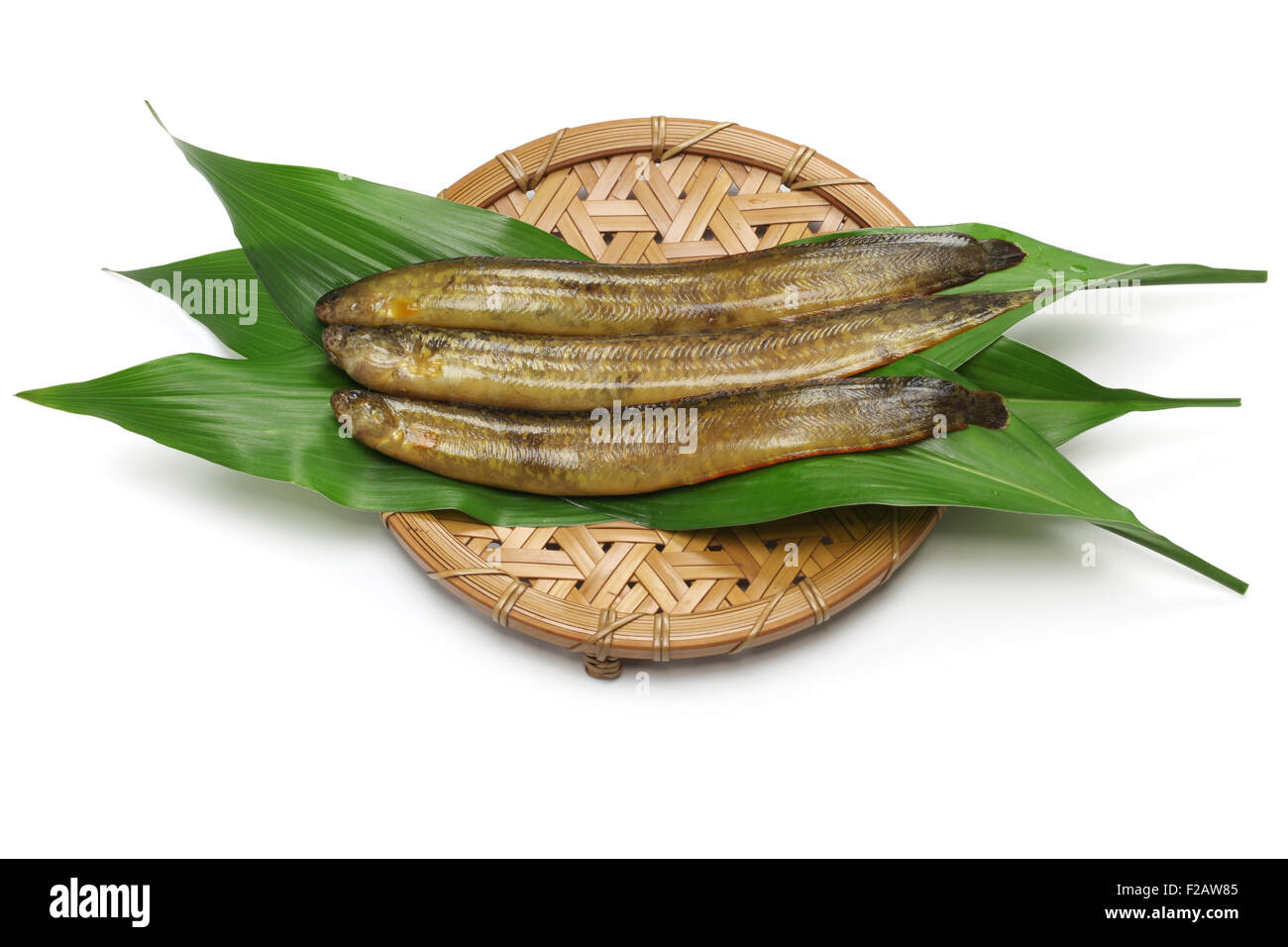 Gunnel fish hi-res stock photography and images - Alamy