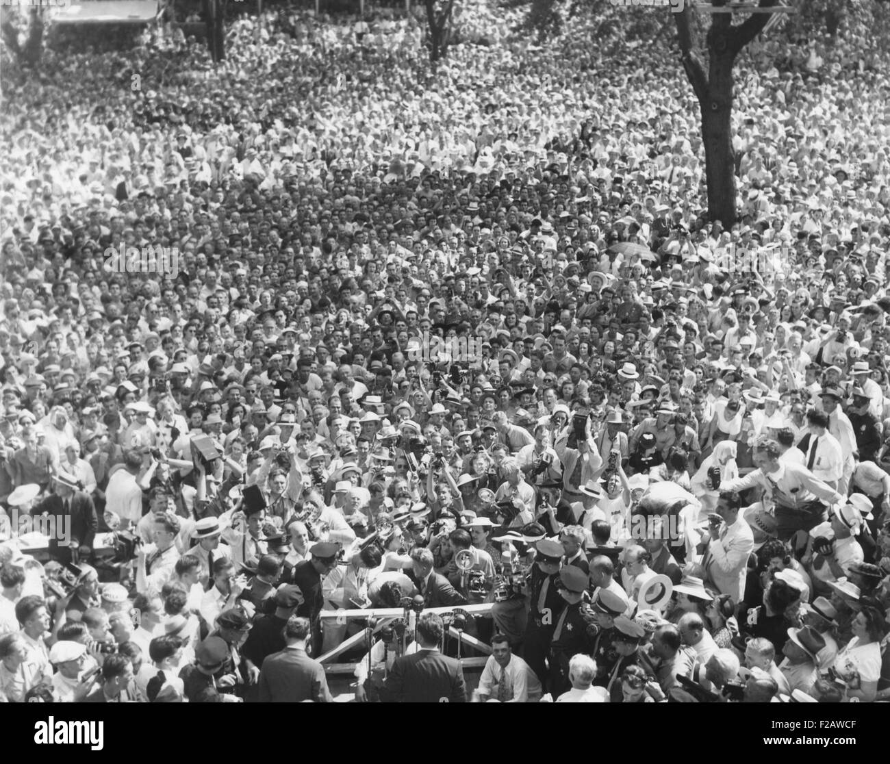 Wendell willkie elwood hi-res stock photography and images - Alamy