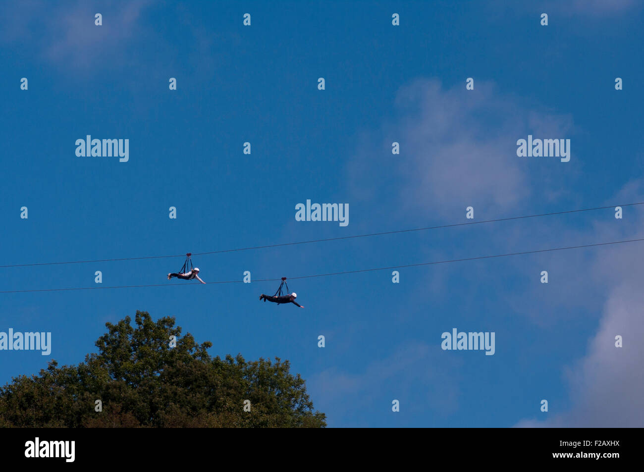Zipwire High Resolution Stock Photography and Images - Alamy