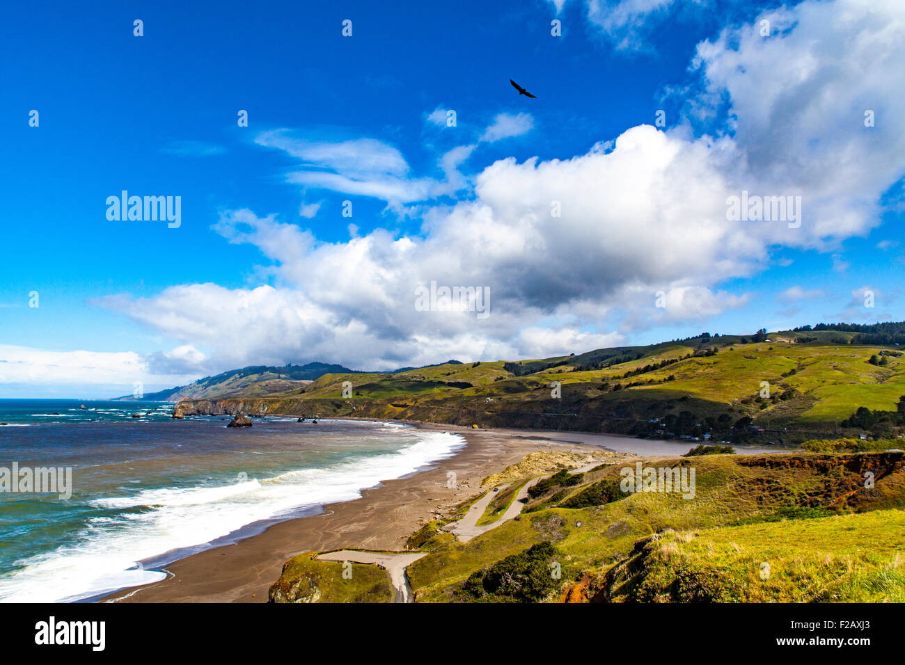 The Russian River Flowing into the Pacific Ocean at Goat Rock State ...