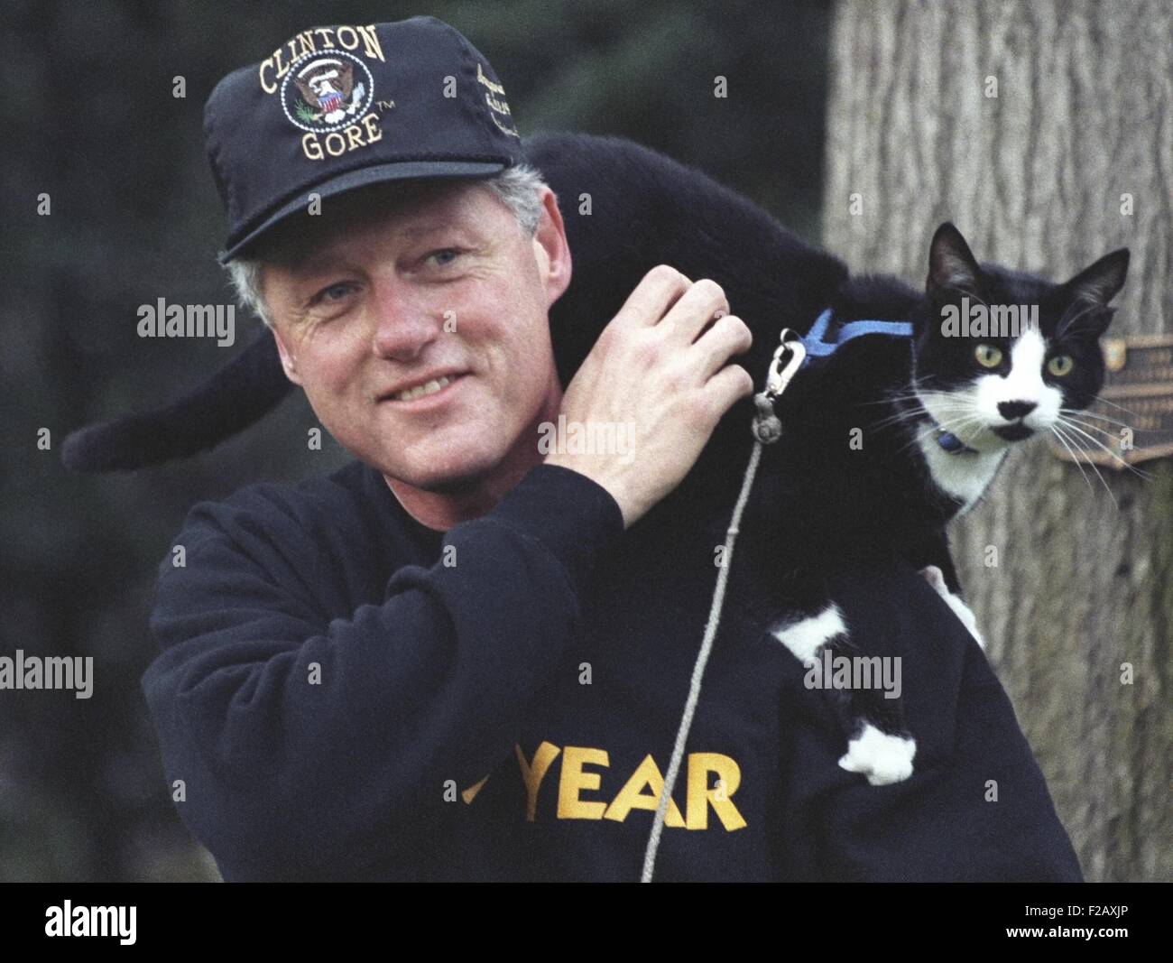 Bill clinton cat hi-res stock photography and images - Alamy