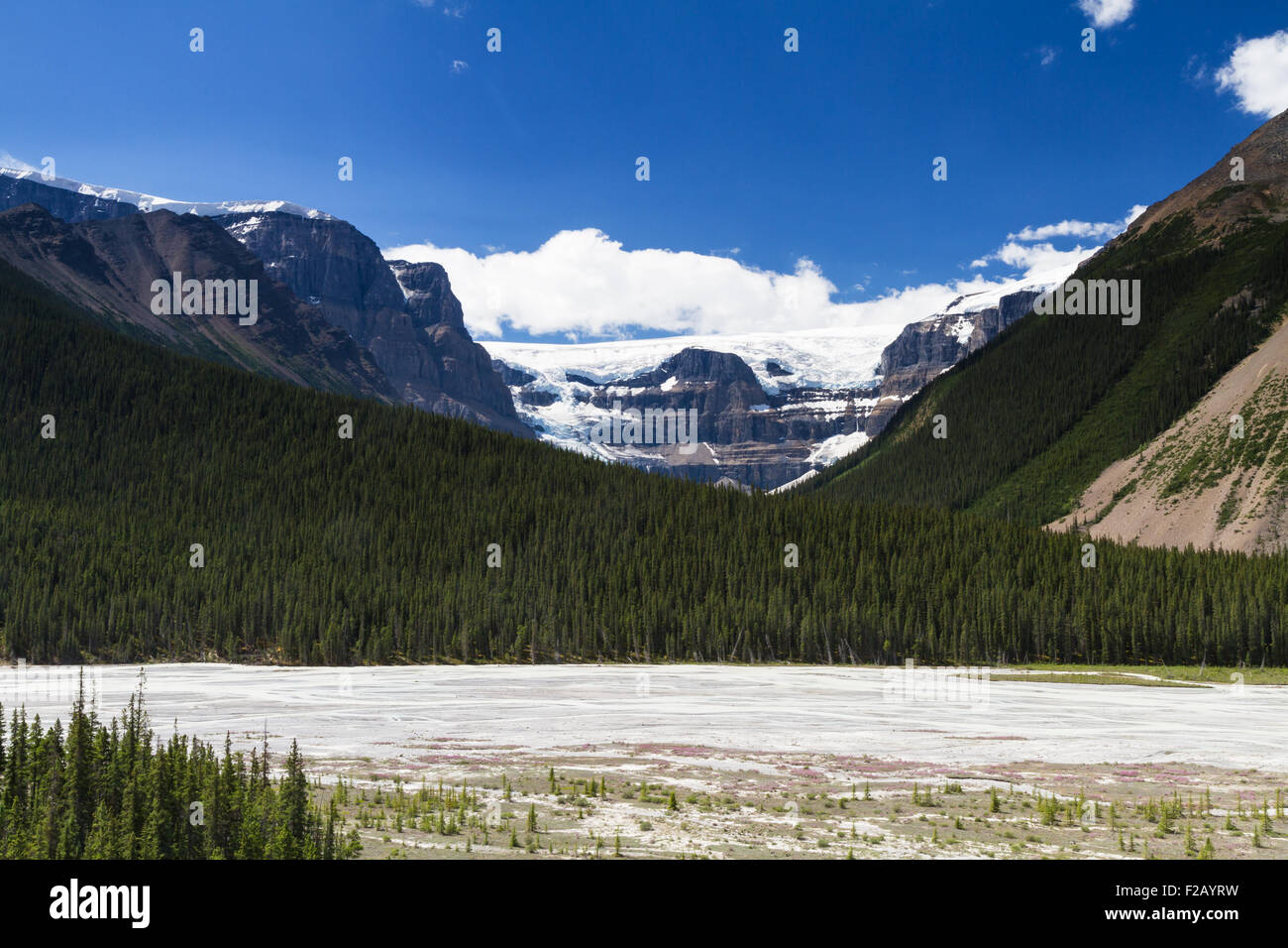 Icefields parkway, alberta, canada hi-res stock photography and images ...