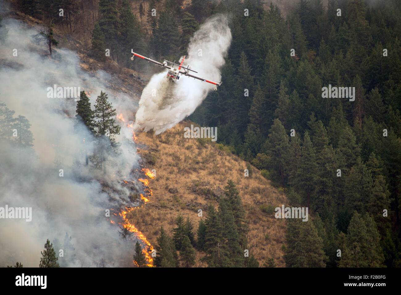 California, USA. 14th September, 2015. An air tanker drops water on the ...