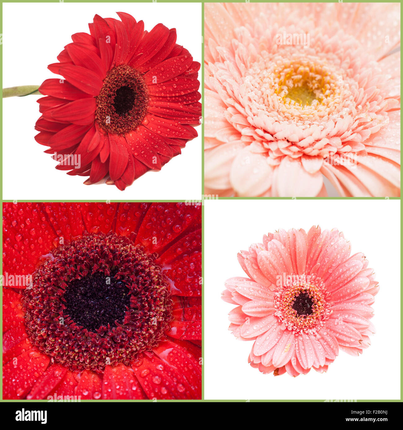 Lila collage hi-res stock photography and images - Alamy