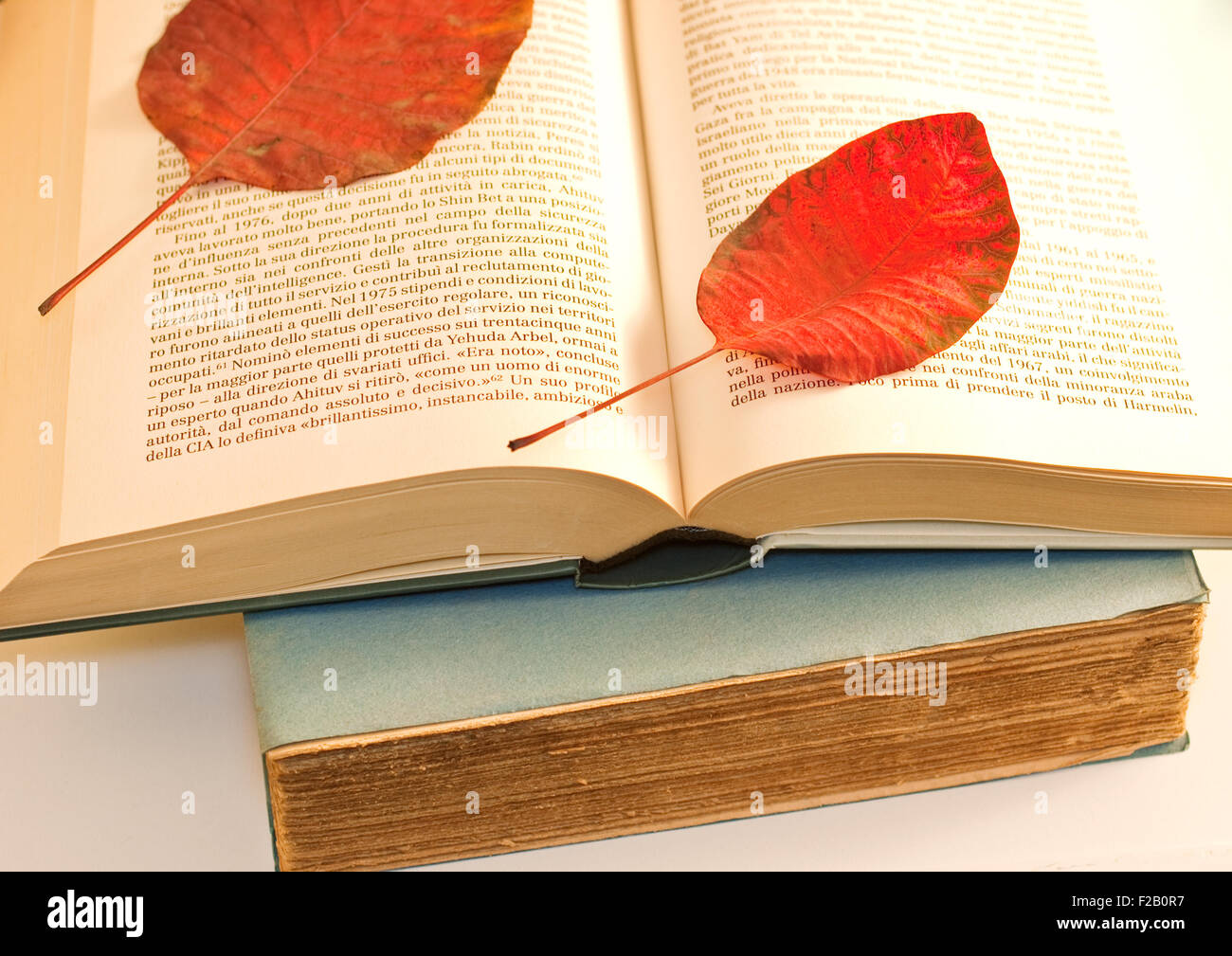 Photo of Dry leaf on a open book Stock Photo - Alamy