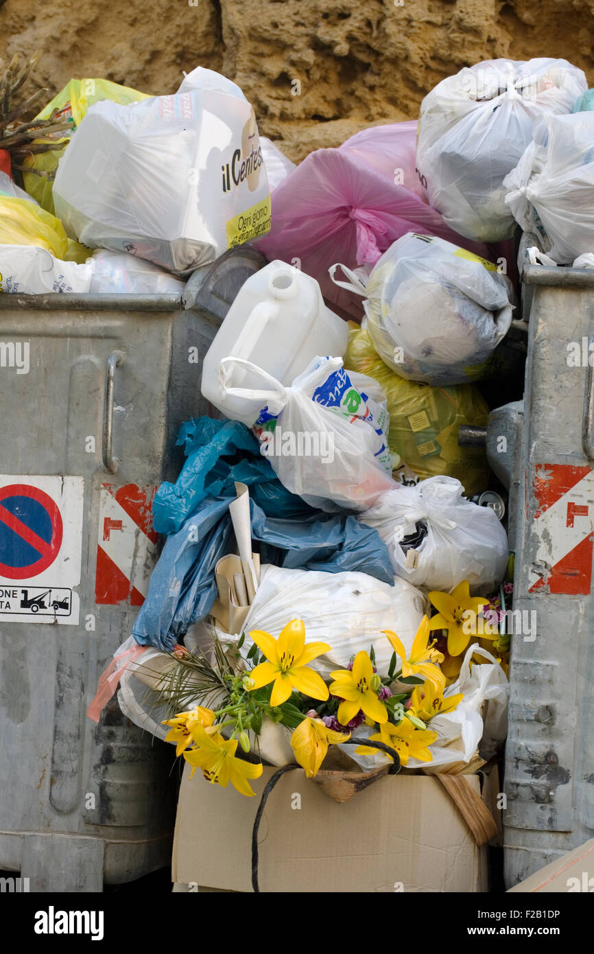 Photo of flowers on the Garbage Stock Photo - Alamy