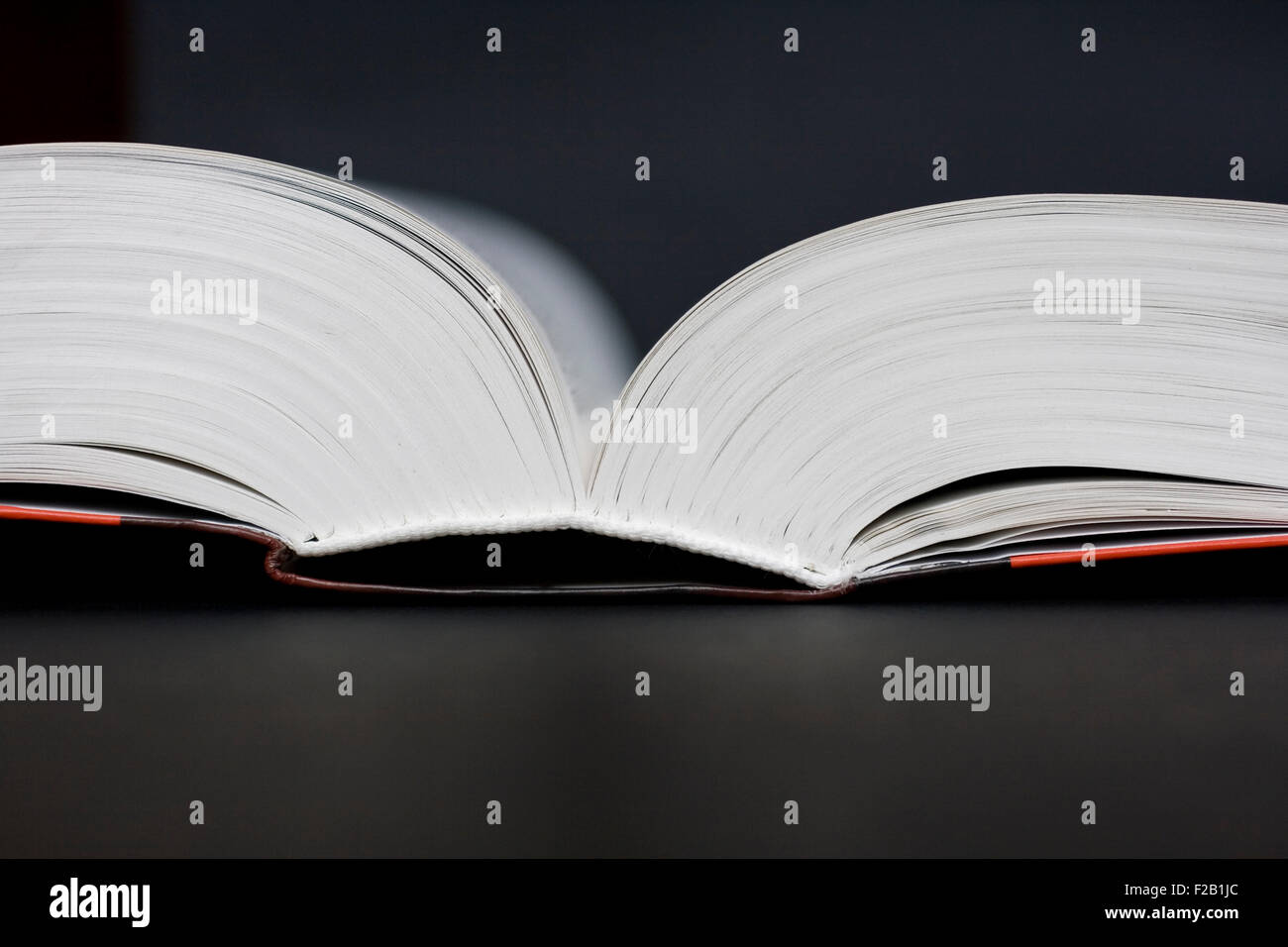 Open book on a gray background Stock Photo - Alamy