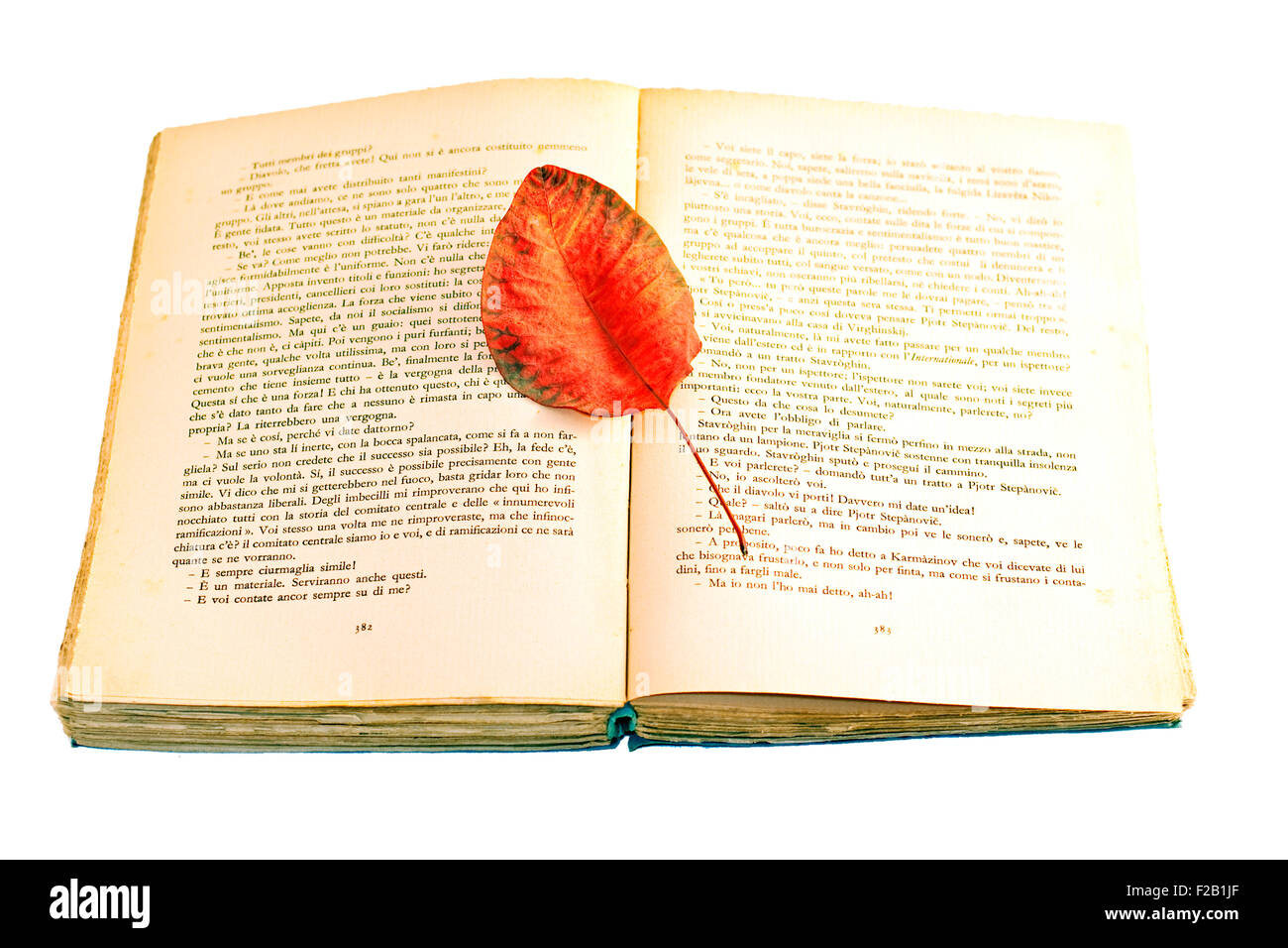 Reading a library book Cut Out Stock Images & Pictures - Alamy