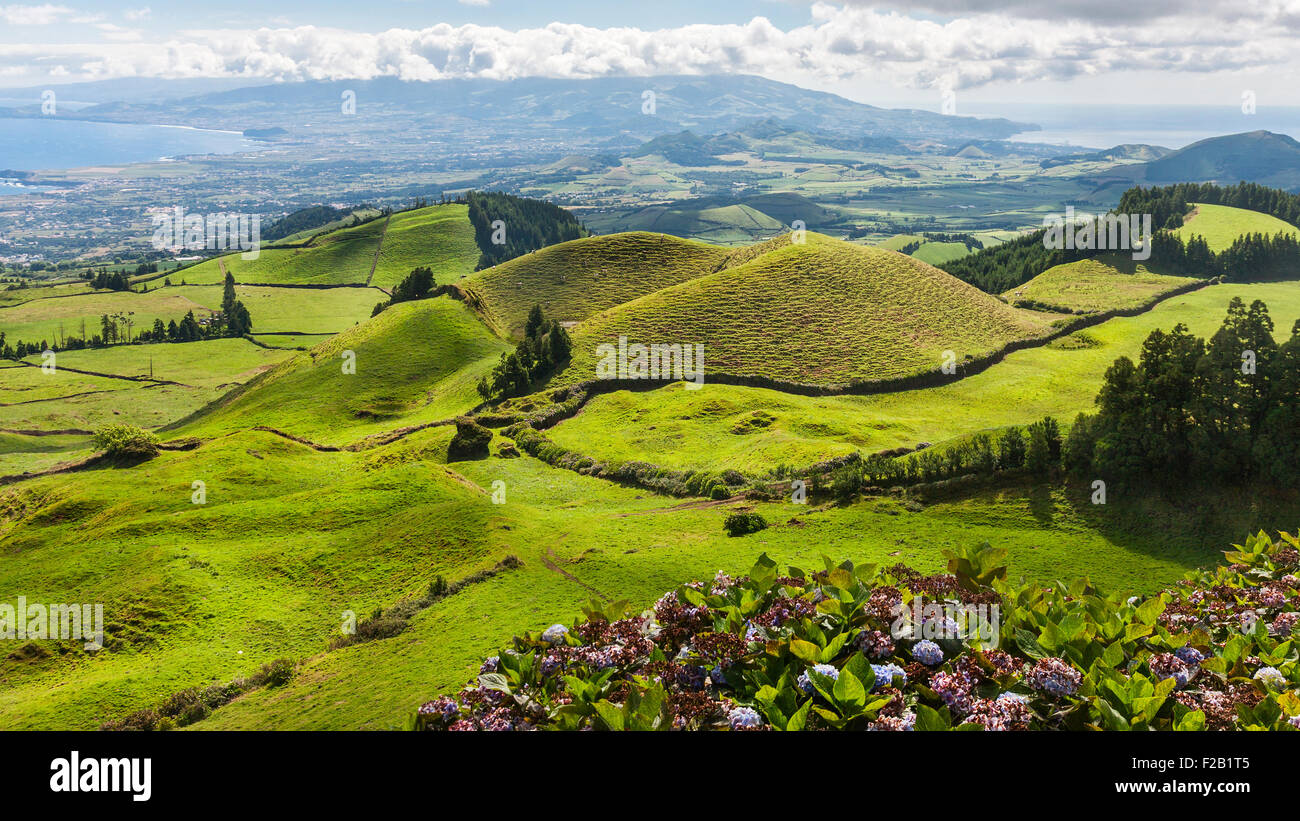 Hills and fields landscape in Sao Miguel, Azores Islands Stock Photo ...